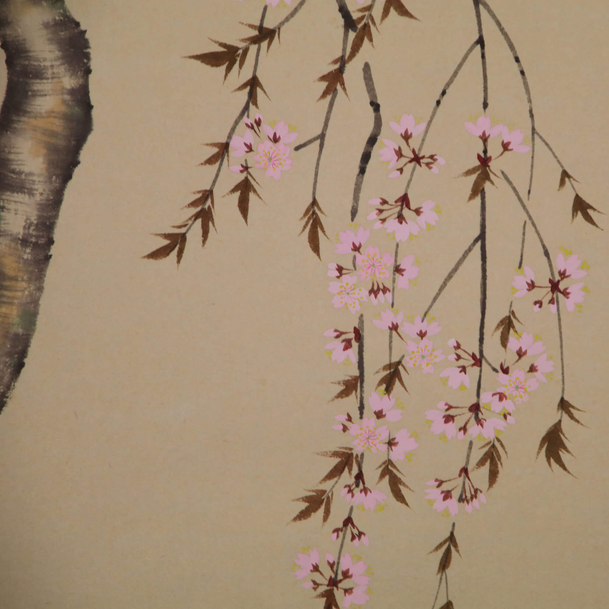 Kakejiku Hanging Scroll: A Weeping Cherry Tree / Miyake Wakō - ART NOMURA